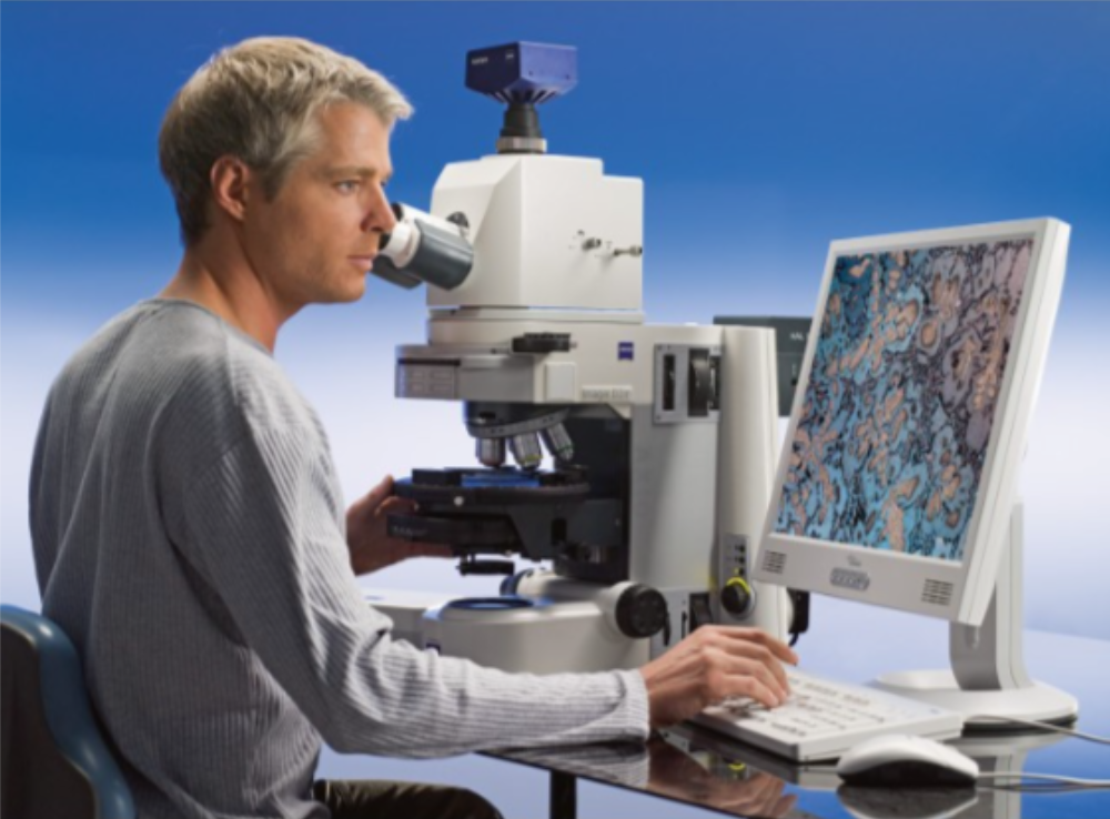 Axio Imager 2 | GLOOR Instruments