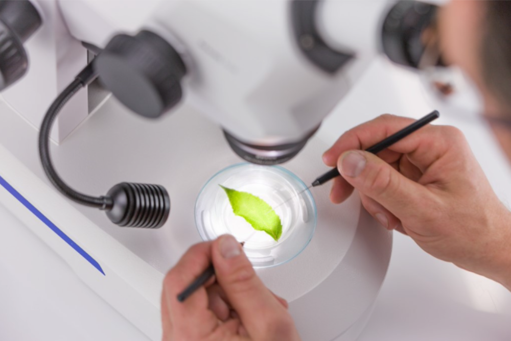 Stemi 508 | GLOOR Instruments